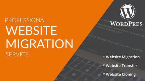 Website Migration Service